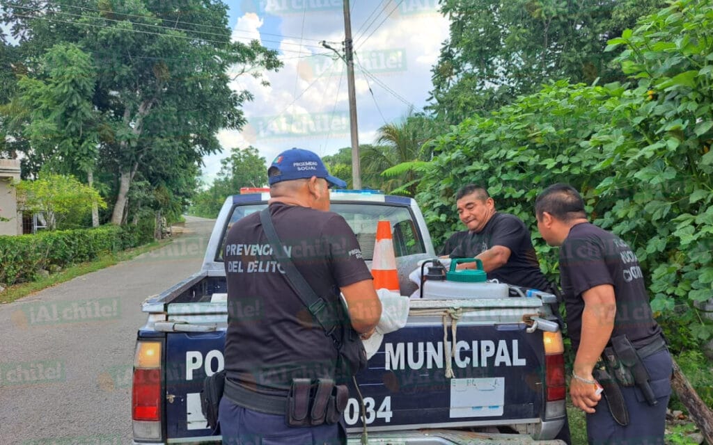 Ratero se mete a casa en Tizimín y termina en el tambo