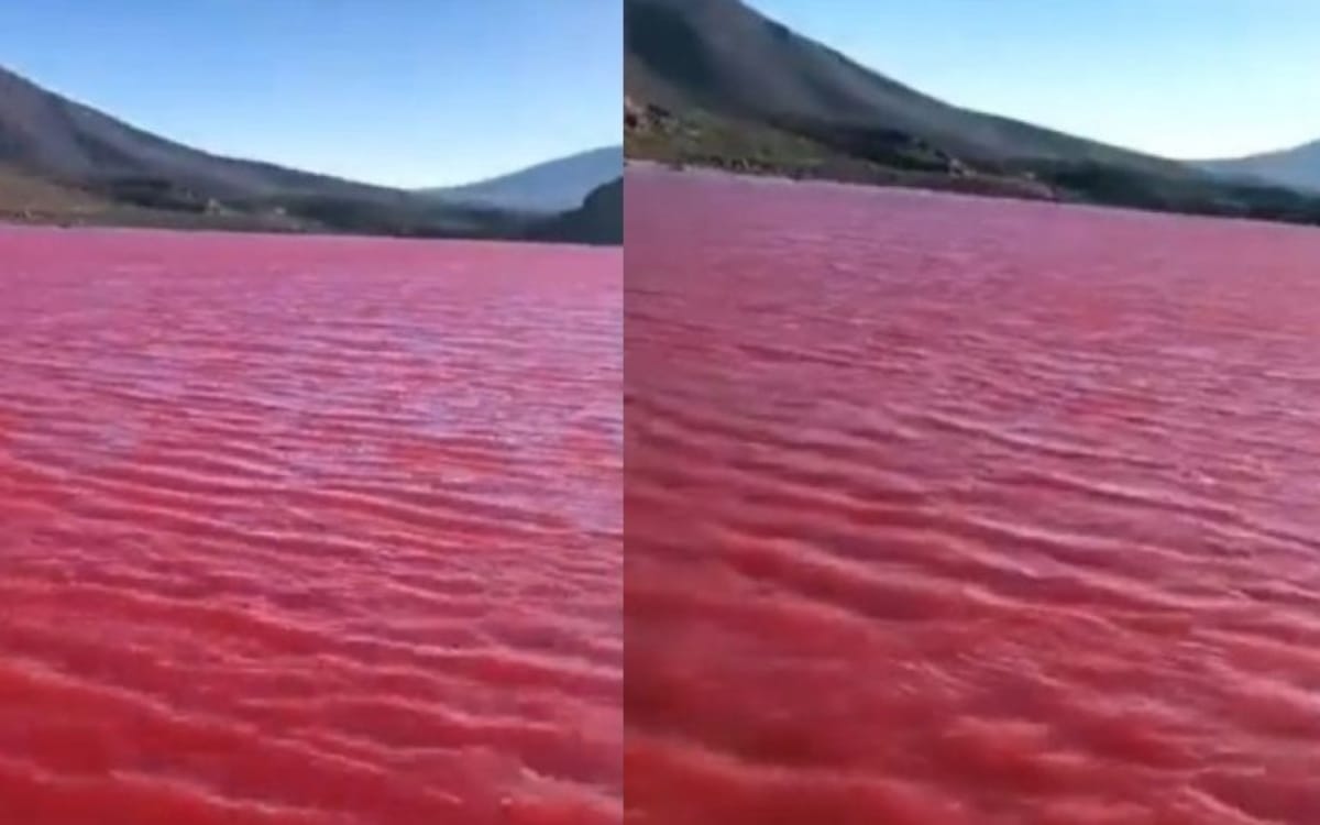 Impresionante y aterrador: El río Nilo se pinta de rojo como el ...