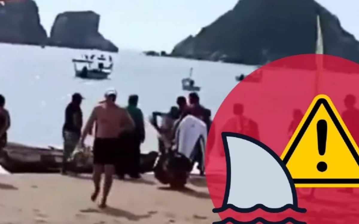 Madre muere tras ser atacada por un tiburón; vacacionaba junto a su pequeño en Jalisco (VIDEO)