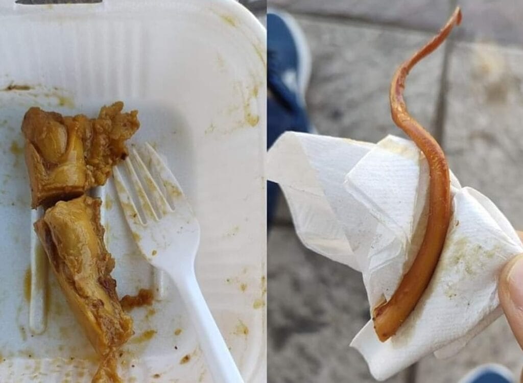 ¡Pasó de nuevo! Joven encontró la cola de una rata en su plato de ...