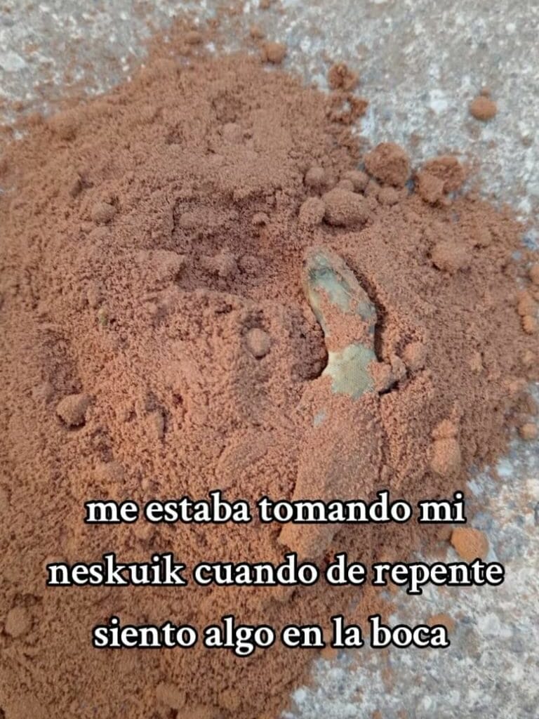 VÍDEO: Chava descubre que hay una lagartija besucona en su licuado de ...