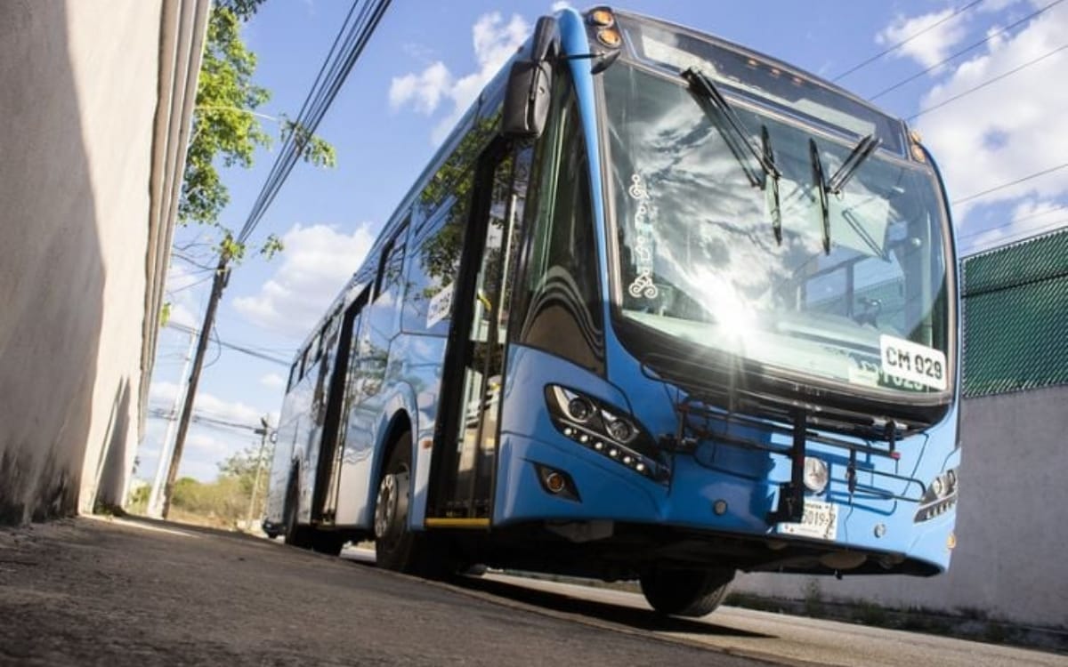 Nuevas rutas de transporte público "Va y Ven" en Mérida: ¡Aquí todos los detalles y las fechas!