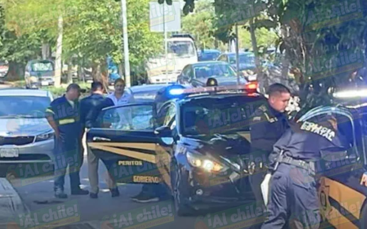 Abuelita muere tras ser arrollada en una avenida de Mérida; quedó hecha papilla