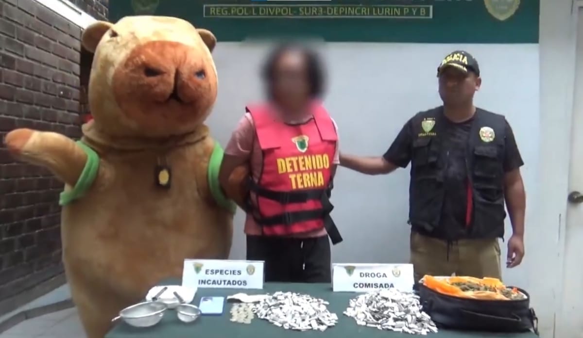 VIDEO. Policía se viste de capibara para atrapar a un narco en Perú ...